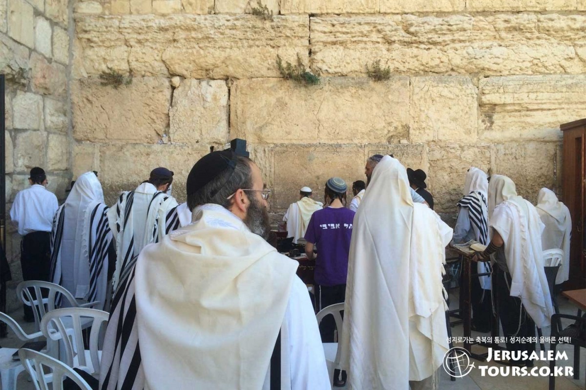 이집사의 이스라엘이야기 | (주)예루살렘투어스